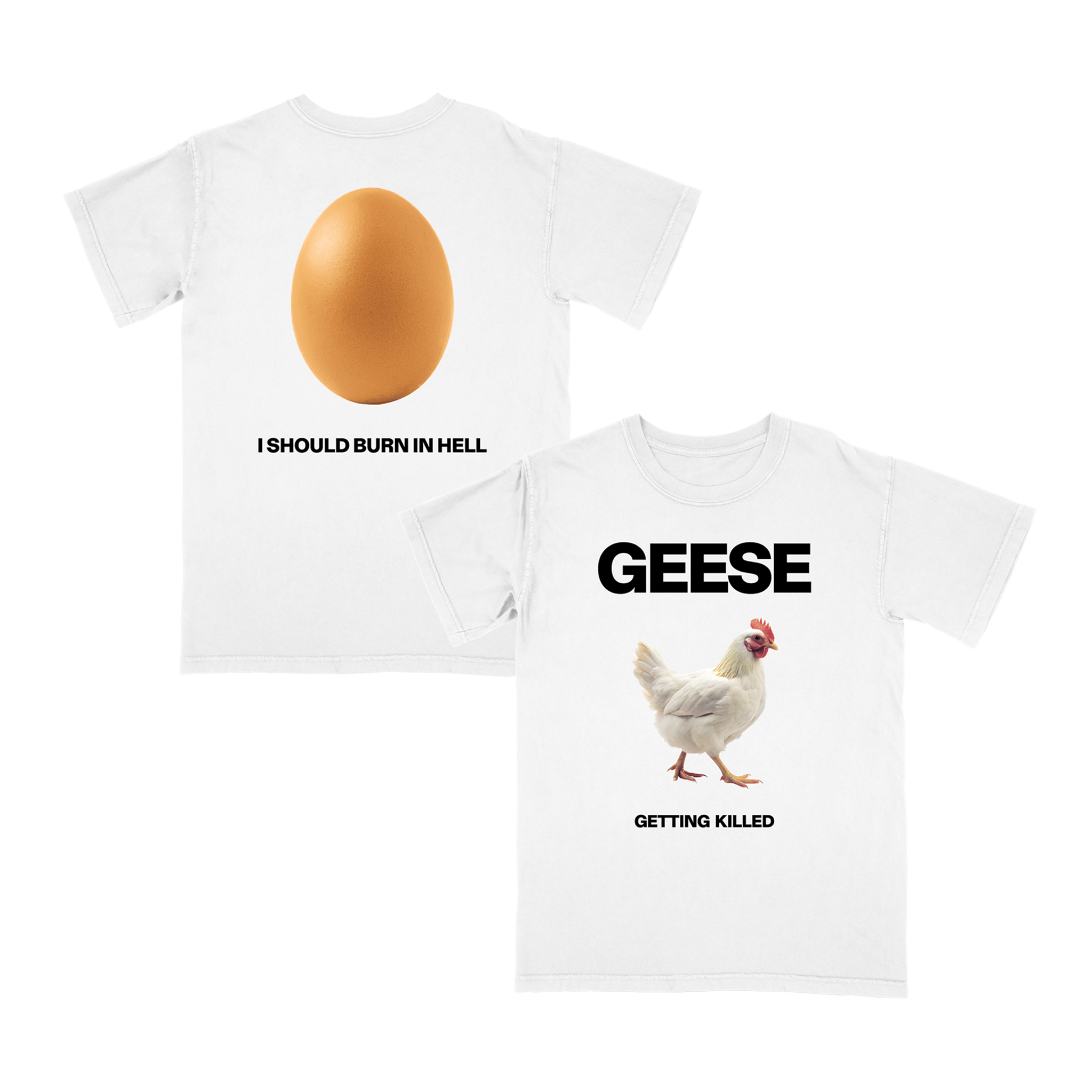 Geese | Official Merch Store